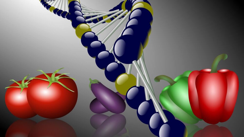 Nutrigenética - Con I de Intelligente