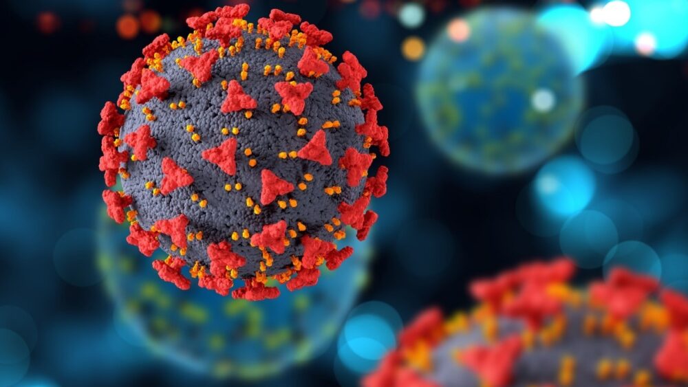 ¿Por qué los científicos vigilan de cerca los virus envueltos? - Con I ...